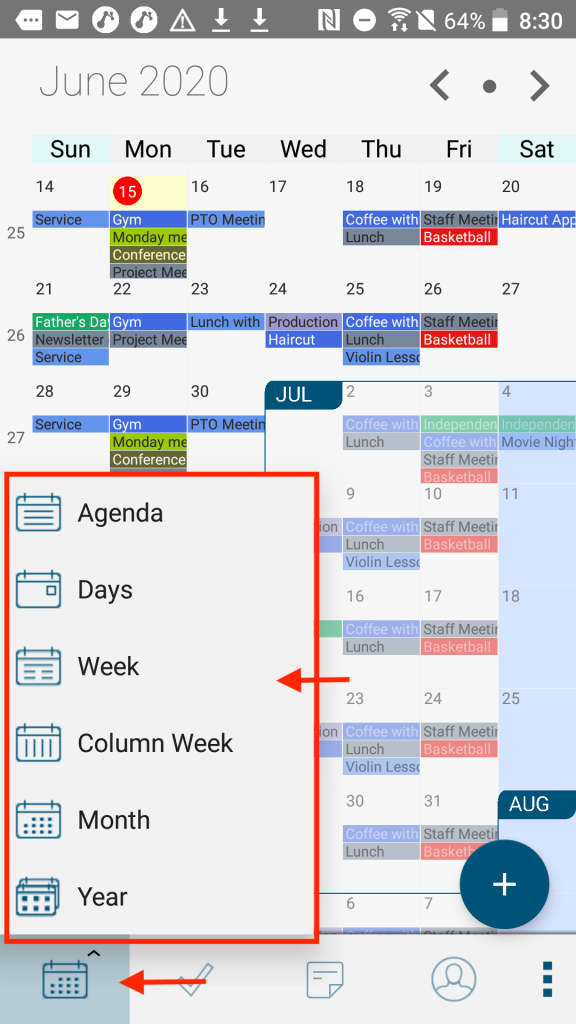 month view calendar menus - Pocket Informant