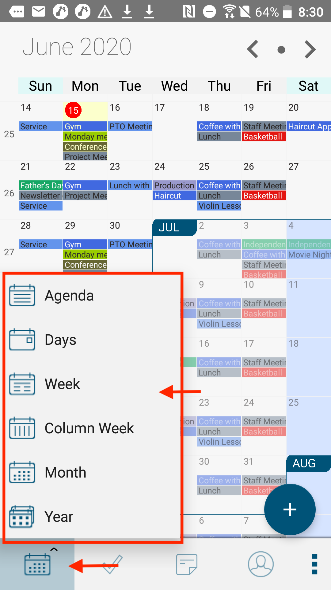 month view calendar menus - Pocket Informant
